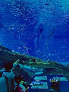 Shanghai tourist attractions | Why Shanghai is so famous?