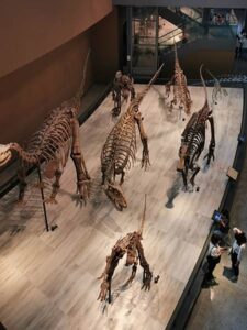 Shanghai tourist attractions | Why Shanghai is so famous?