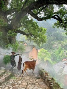 8 Lesser-Known Destinations to Visit in China